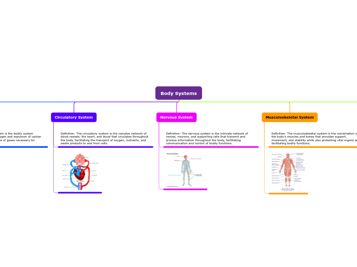 Body Systems - Mind Map